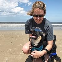 The Waiting Game: The Untold Story of the Women Who Served the Tudor ...