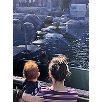 Sugar Nation: The Hidden Truth Behind America's Deadliest Habit and the ...