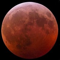 Ties of Blood (Amaranthine, #3) by Naylor Joleene | Goodreads