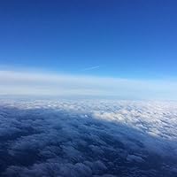 Wolfsbane Investigations: The Complete 5-Books Series by Clara Kendrick ...