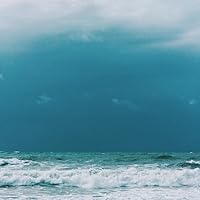 Object Oriented Programming by david-parsons | Goodreads