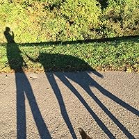 What Papa Told Me by Felice Cohen | Goodreads