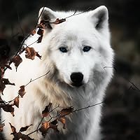 The Ghost of Cutler Creek (Ghost Mysteries #3) by Cynthia C. DeFelice ...