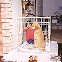 The Pool of Two Moons (The Witches of Eileanan, #2) by Kate Forsyth ...