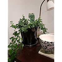 Checking Out by Nick Spalding | Goodreads