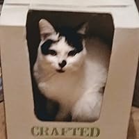 Siege (Scope #1) by Simon Kernick | Goodreads