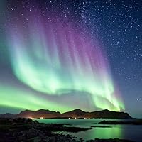 Scar Island by Dan Gemeinhart | Goodreads