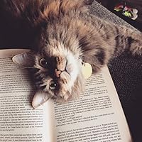 Why Should I Eat Well? (Why Should I? Books) by Claire Llewellyn ...