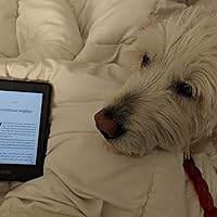 A Brief History of Intelligence: Evolution, AI, and the Five ...