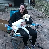 Phoenix Rising by Karen Hesse | Goodreads