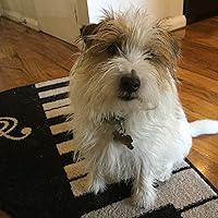 Shadow (Dream Casters, #2) by Adrienne Woods | Goodreads