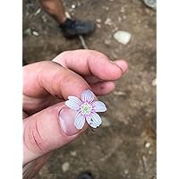 The Dark Matter of Mona Starr by Laura Lee Gulledge | Goodreads