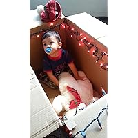 Dying to Cross: The Worst Immigrant Tragedy in American History by ...