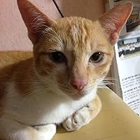 Toby Alone by Timothée de Fombelle | Goodreads