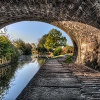 The Octunnumi Fosbit Files Prologue by Trevor Alan Foris | Goodreads