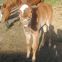 Knowing His Secret (Year of the Billionaire, #1) by K.C. Falls | Goodreads