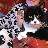 Between (The Chronicles of Between, #1) by L.L. Starling | Goodreads