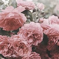 The Myth of the Latin Woman: I Just Met a Girl Named María by Judith ...