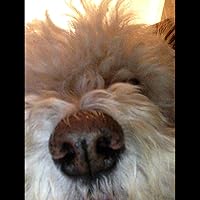 The Darkhouse by Barbara Radecki | Goodreads