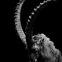 Letters from Christopher: The Tragic Confessions of the Watts Family ...