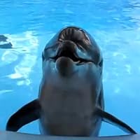 Prince Puggly of Spud and the Kingdom of Spiff by Robert Paul Weston ...