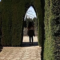 Fly Trap by Frances Hardinge | Goodreads