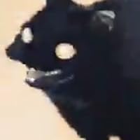 The Magic Anatomy Book by Carol Donner | Goodreads