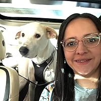 A Nearly Perfect Copy by Allison Amend | Goodreads