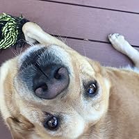 Forbidden City (City Spies #3) by James Ponti | Goodreads