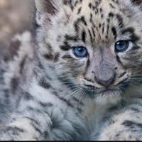 What Is Climate Change? (What Was?) by Gail Herman | Goodreads