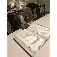 Rat Life by Tedd Arnold | Goodreads