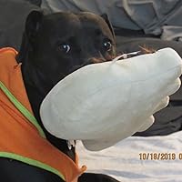 You Don't Look Adopted by Anne Heffron | Goodreads