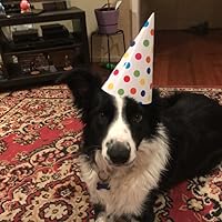 Night's Slow Poison (Imperial Radch, #0.5) by Ann Leckie | Goodreads