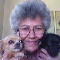 In Bad Faith by Dassi Erlich | Goodreads