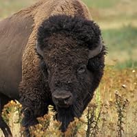 Kronos Rising by Max Hawthorne | Goodreads