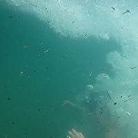 Wise Men by Stuart Nadler | Goodreads