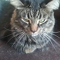 Language in Thought and Action by S.I. Hayakawa | Goodreads