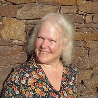 False Dawn by Chelsea Quinn Yarbro | Goodreads