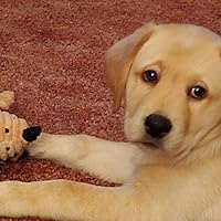 Back Lash (Broken Magic, #3) by Devon Monk | Goodreads