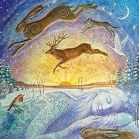 Seven Ways of Looking at Pointless Suffering: What Philosophy Can Tell ...