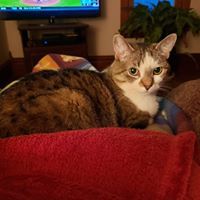 Finding Laura Buggs by Stanley Gordon West | Goodreads