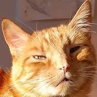 Code White: A Novel by Scott Britz-Cunningham | Goodreads