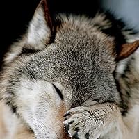 Foundations: How the Built Environment Made Twentieth-Century Britain ...