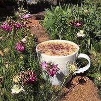 We Are Wolves by Katrina Nannestad | Goodreads