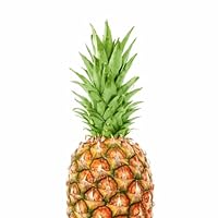 Outwalkers by Fiona Shaw | Goodreads