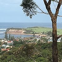 Nanberry: Black Brother White by Jackie French | Goodreads