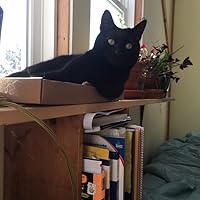 A House of Tailors by Patricia Reilly Giff | Goodreads