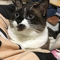 Secret Ceremonies: A Mormon Woman's Intimate Diary of Marriage and ...