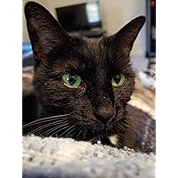 Rescuing Melissa by Ellie Masters | Goodreads