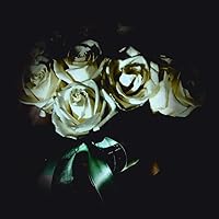 Hope Girl by Wendy Dunham | Goodreads